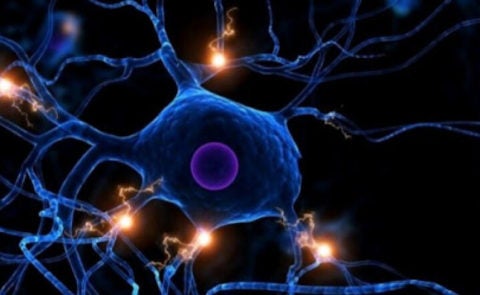 INEST - Instituto Neurológico do Espírito Santo | Neurocirurgião ...